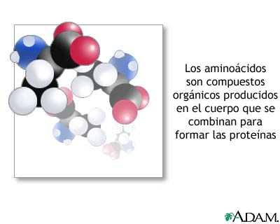 Isabelbcdc: Aminoácidos y polipeptidos: estructura y función